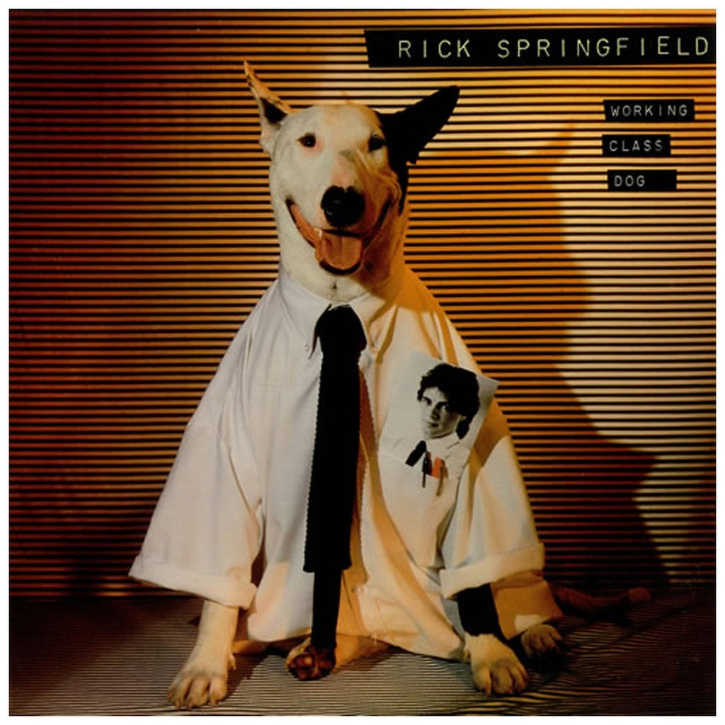 Rick Springfield - Working Class Dog - CD